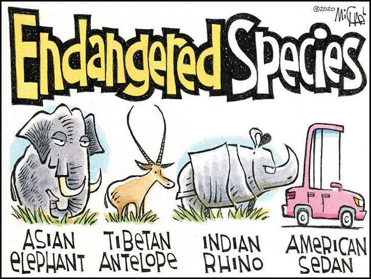 Endangered Species