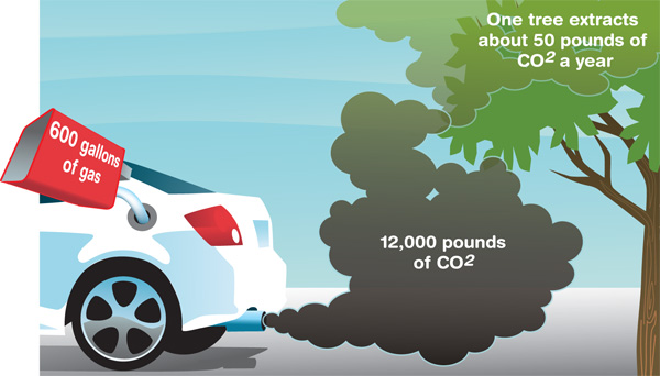 The ABCs of CO2 | Automotive News
