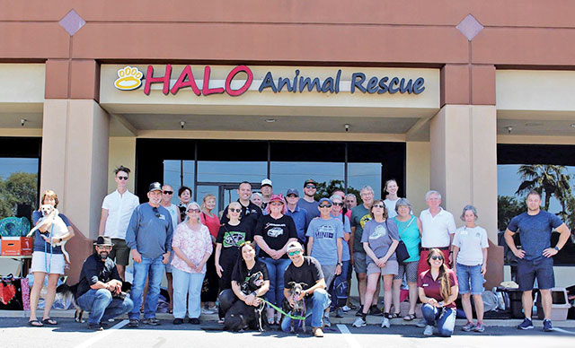 Best Dealerships To Work For: Mini North Scottsdale | Automotive News