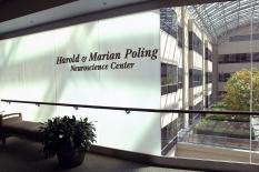 Red Poling's charity efforts raised millions of dollars | Automotive News