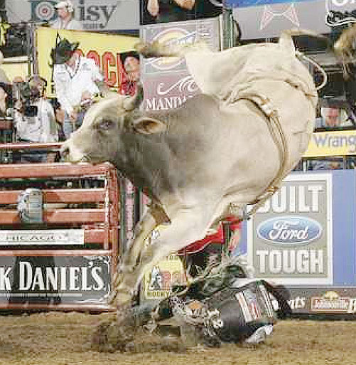 Ford division sees big bucks in sponsorship of bull riding | Automotive ...