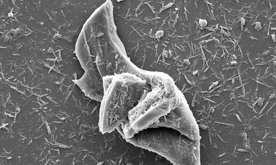 Particulate emissions from tires boosted by EVs’ weight, acceleration ...
