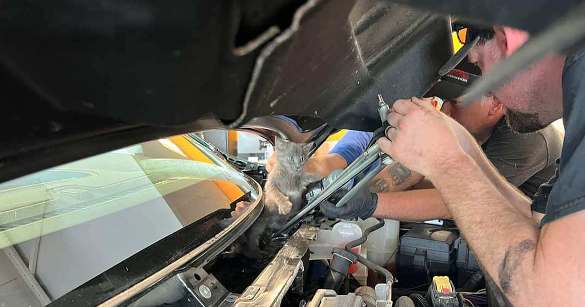 When a purring engine is a bad thing | Automotive News