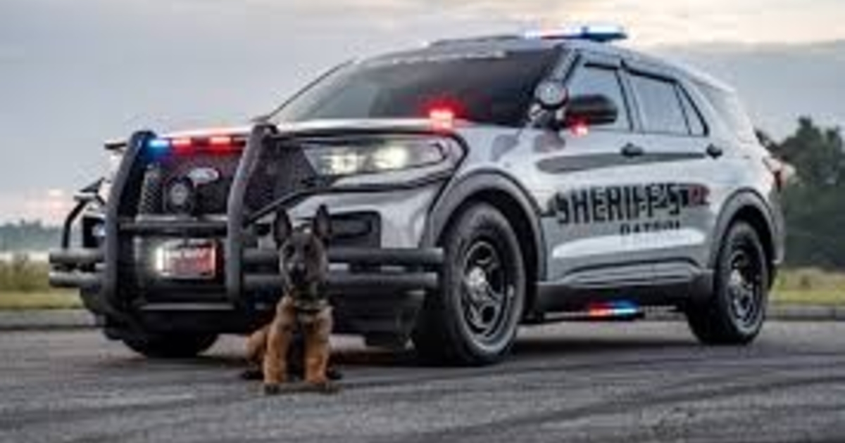 Ford Explorer police cars recalled for engine fire risks | Automotive News