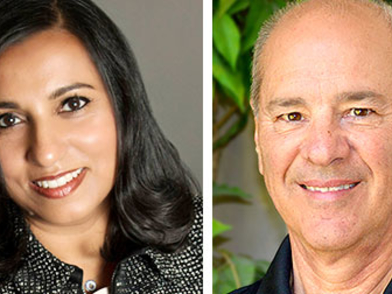 Match made for DealerSocket, Auto/Mate