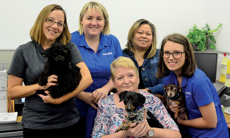 2019-AutoNation Honda 385 | Automotive News