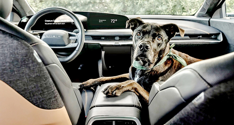 EV makers offer pet-friendly ‘dog mode' feature | Automotive News